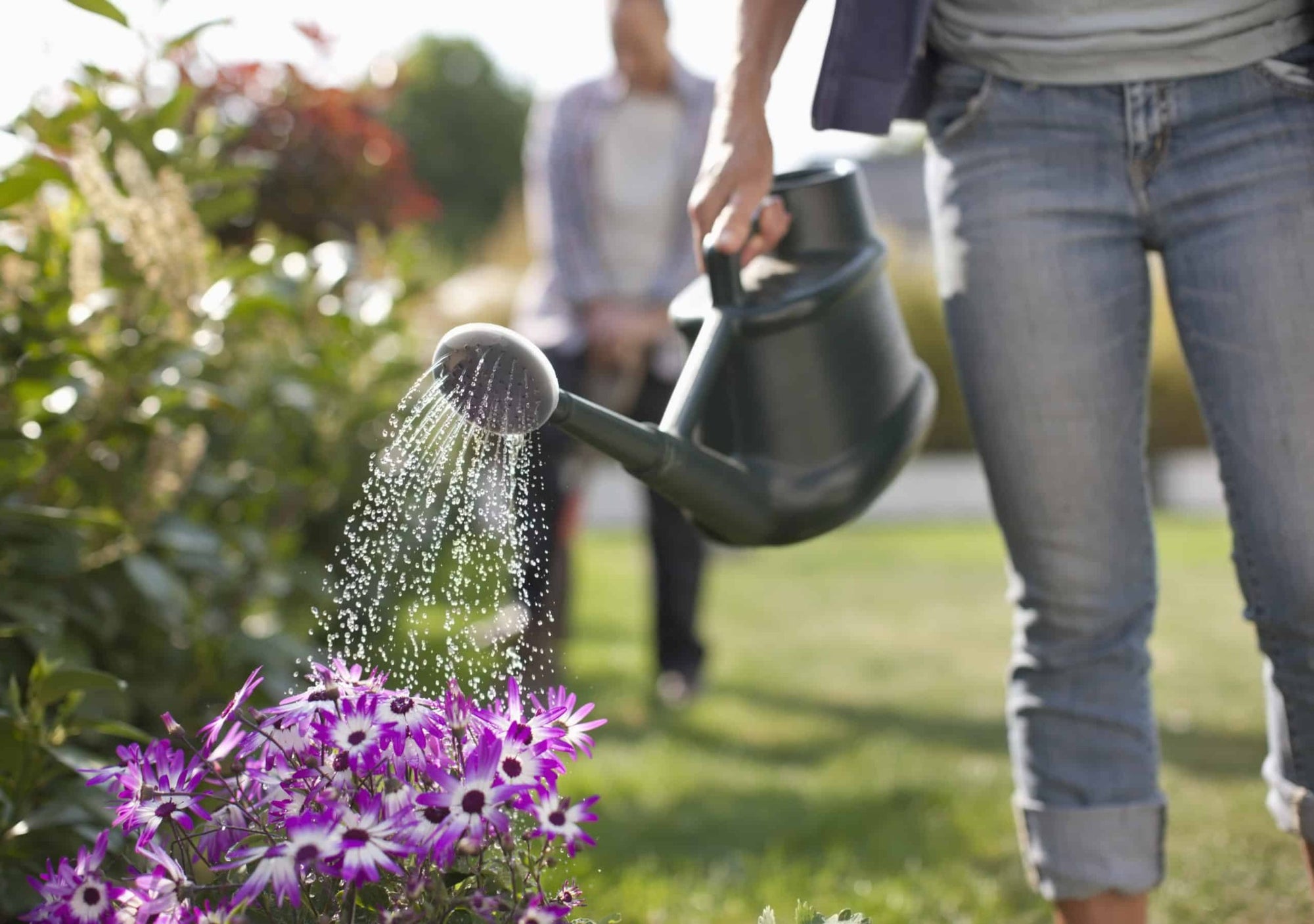 Spring Refresh – Tru Earth